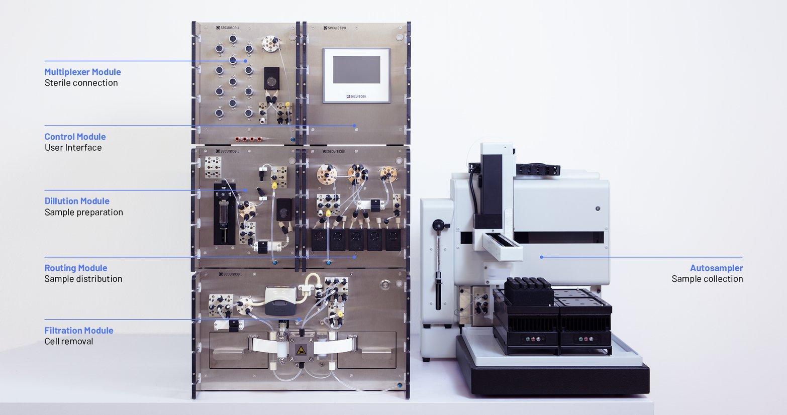 ADVANCED REAL-TIME MONITORING IN A CONTINUOUS BIOPROCESS