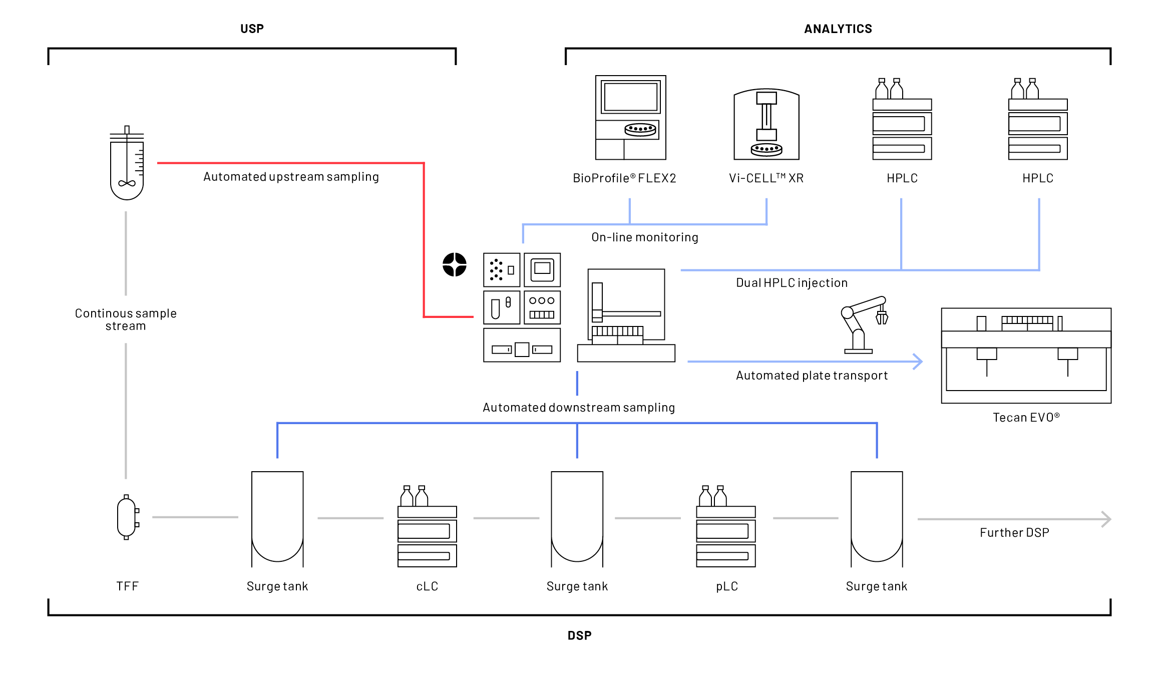 ADVANCED REAL-TIME MONITORING IN A CONTINUOUS BIOPROCESS