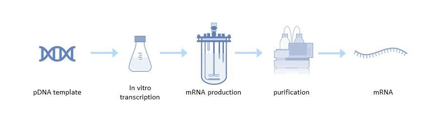 LUCULLUS®: VALIDATED DATA HISTORIAN FOR MRNA VACCINE PRODUCTION PROCESSES