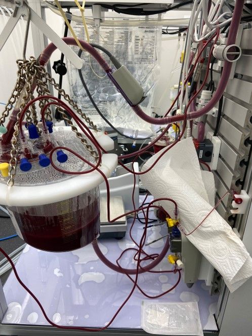 SERACCESS® MILESTONE 3