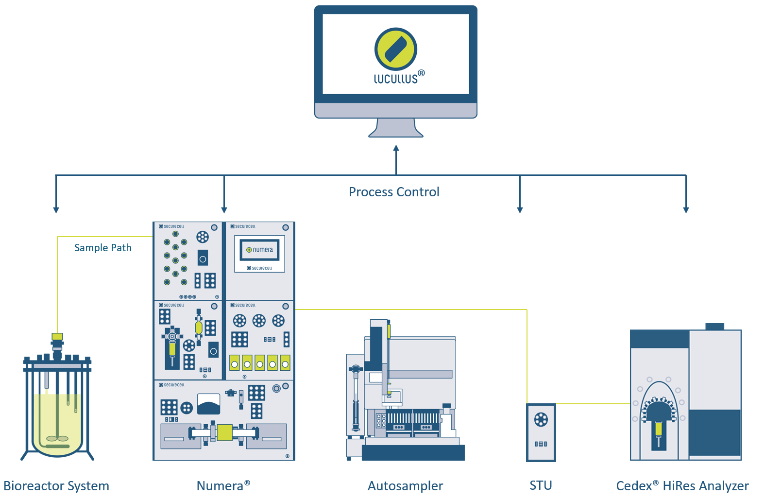 AUTOMATED ON-LINE CELL CULTURE MONITORING USING NUMERA® AND THE CEDEX ...