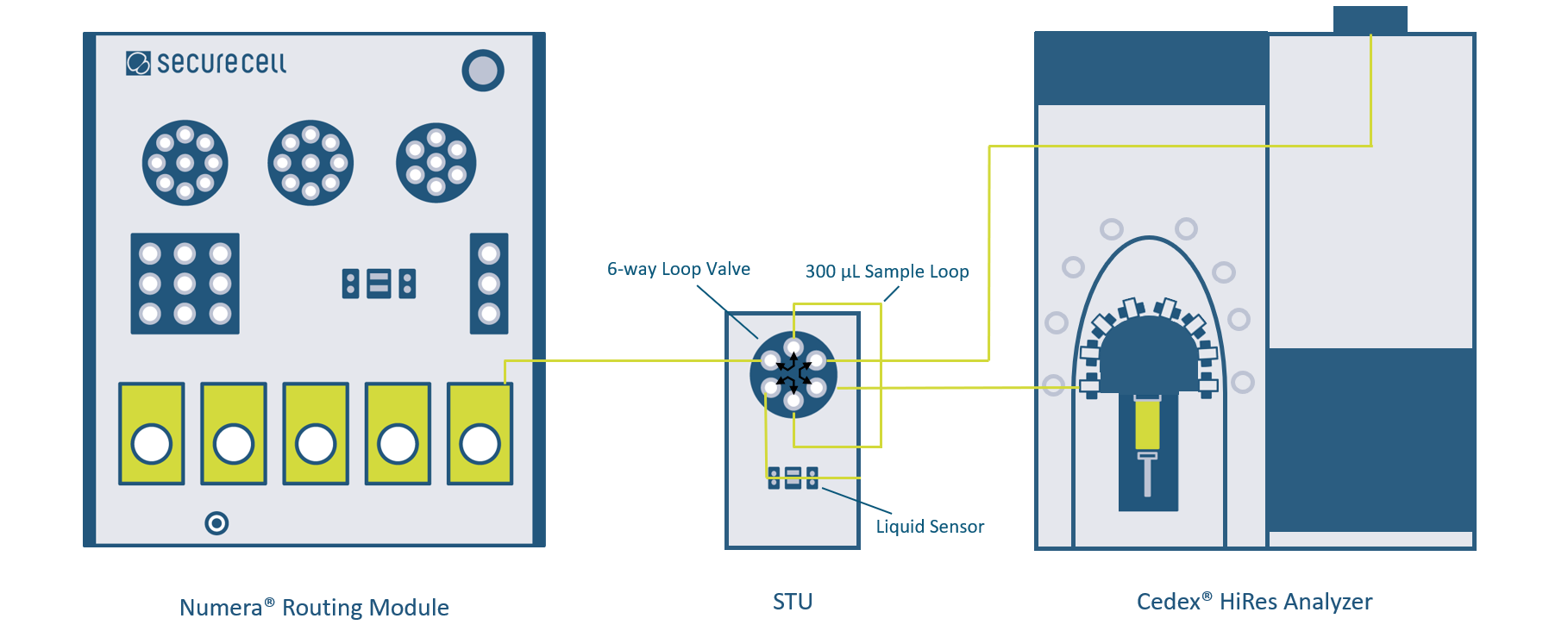 AUTOMATED ON-LINE CELL CULTURE MONITORING USING NUMERA® AND THE CEDEX ...