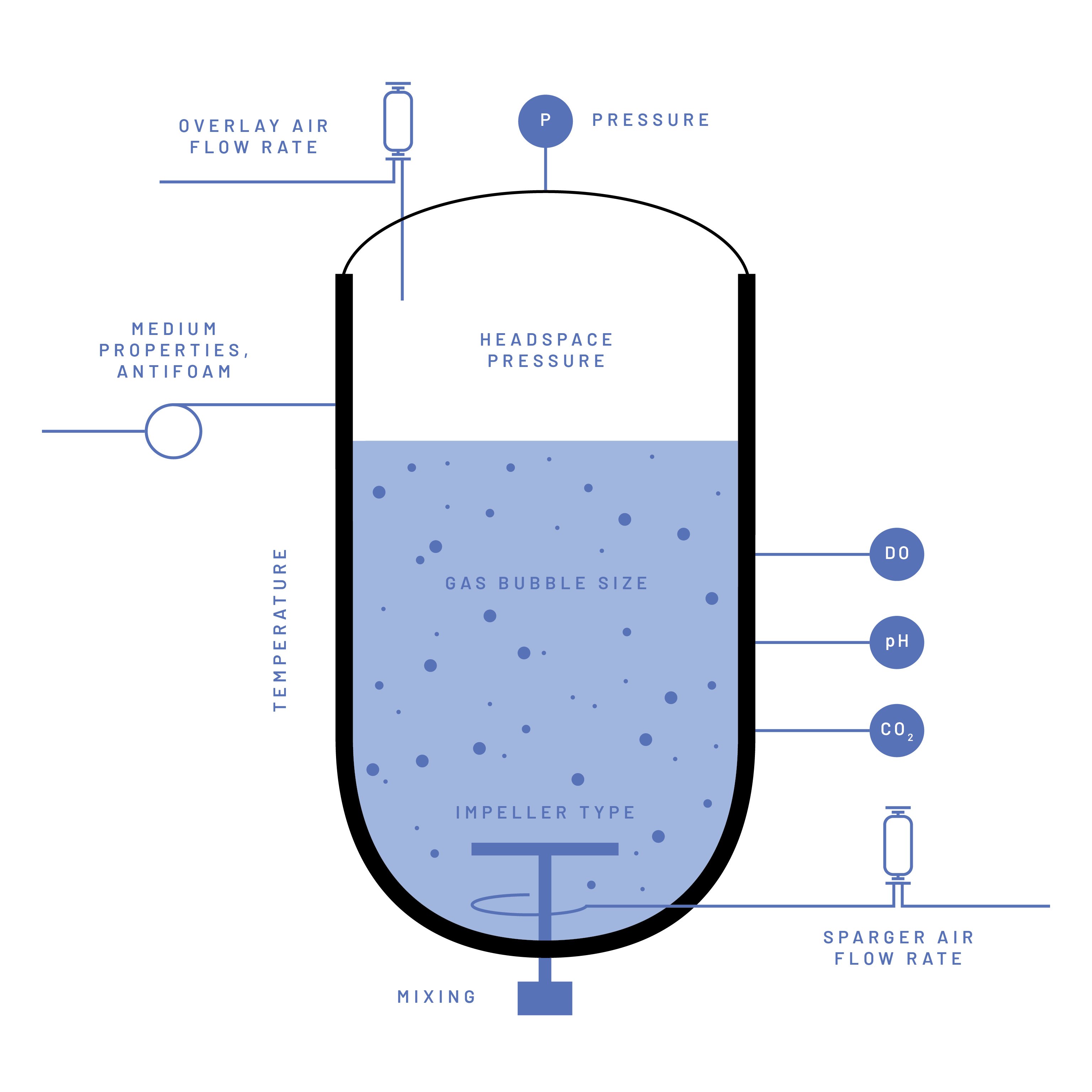 GETTING A GRIP ON OXYGEN TRANSFER IN BIOREACTORS: AUTOMATED kLa ...