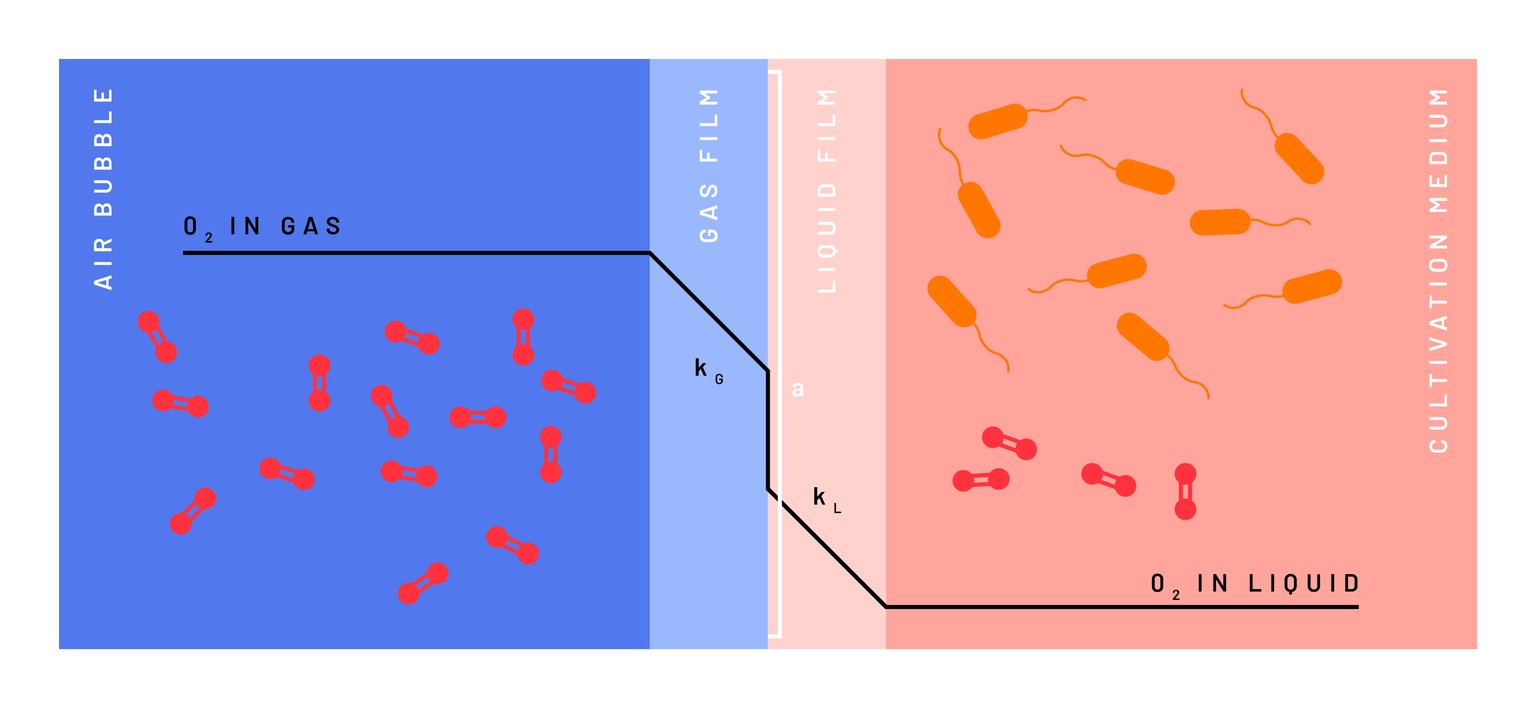 DEN SAUERSTOFFTRANSFER IN BIOREAKTOREN MEISTERN: AUTOMATISIERTE kLa ...