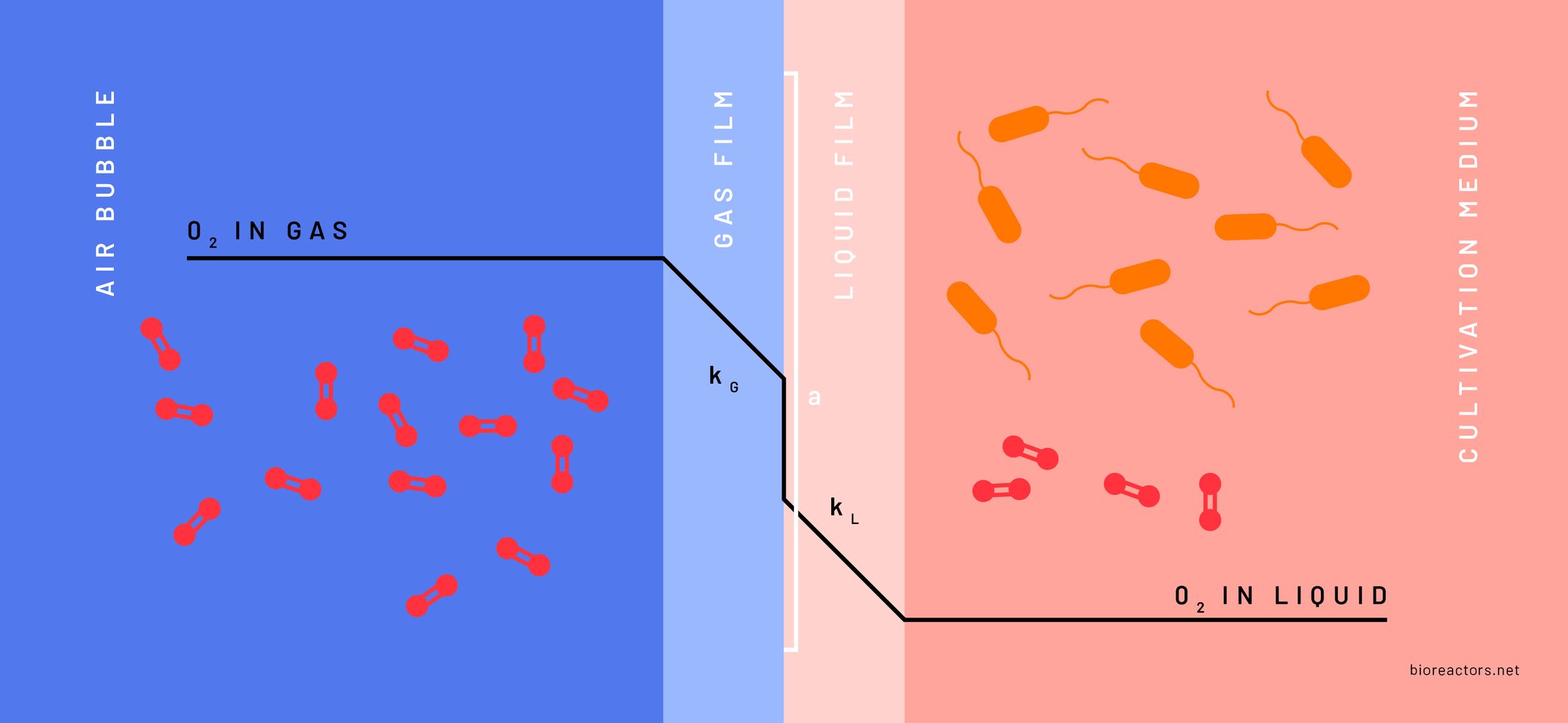 GETTING A GRIP ON OXYGEN TRANSFER IN BIOREACTORS: AUTOMATED kLa ...