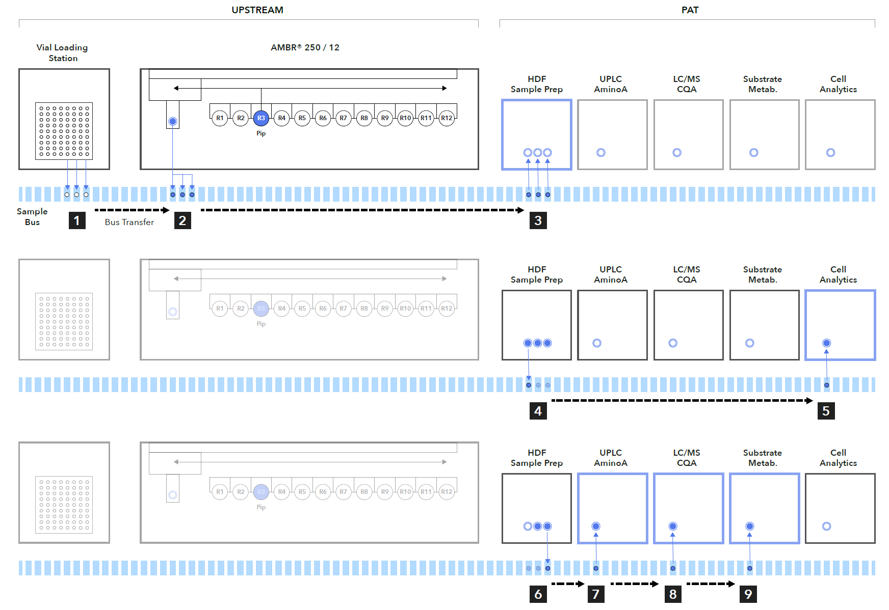SampleBus, Autosampling for Ambr® 250 Multi-Parallel Bioreactors