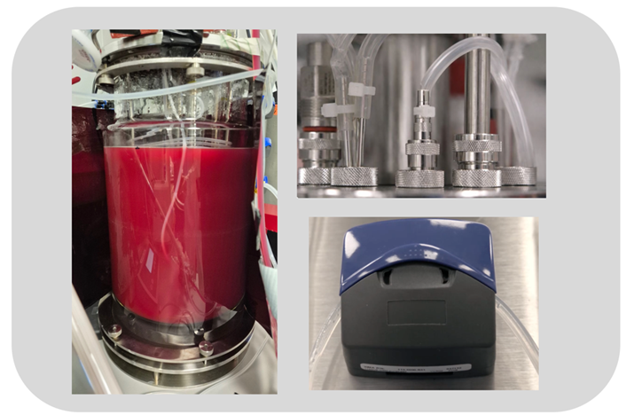 IMPLEMENTING GRAVIMETRIC FEED CONTROL IN PERFUSION-BASED CELL CULTURE ...
